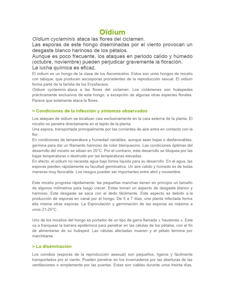 Oïdium y Mildiu | PDF | Hongo | Brócoli