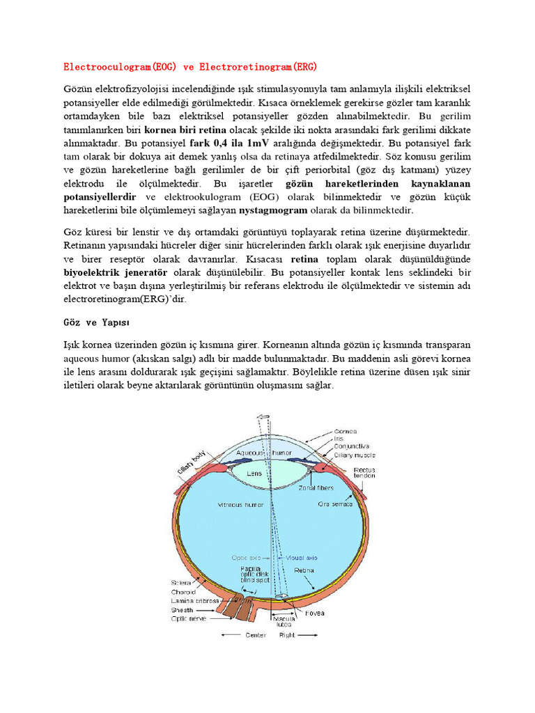Tıp Elektroniği 7.Hafta | PDF