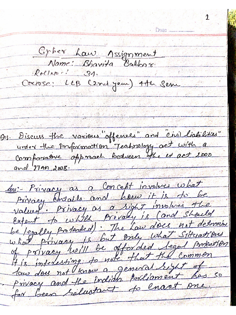 Cyber Law Assignment | PDF