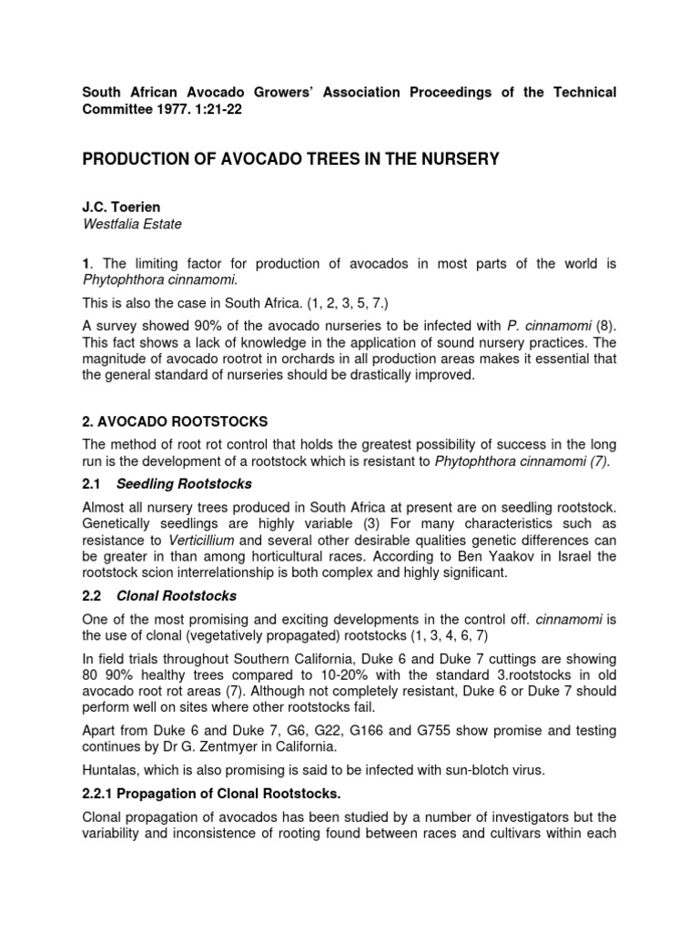 Improving Avocado Nursery Practices | PDF | Grafting | Plant Nursery