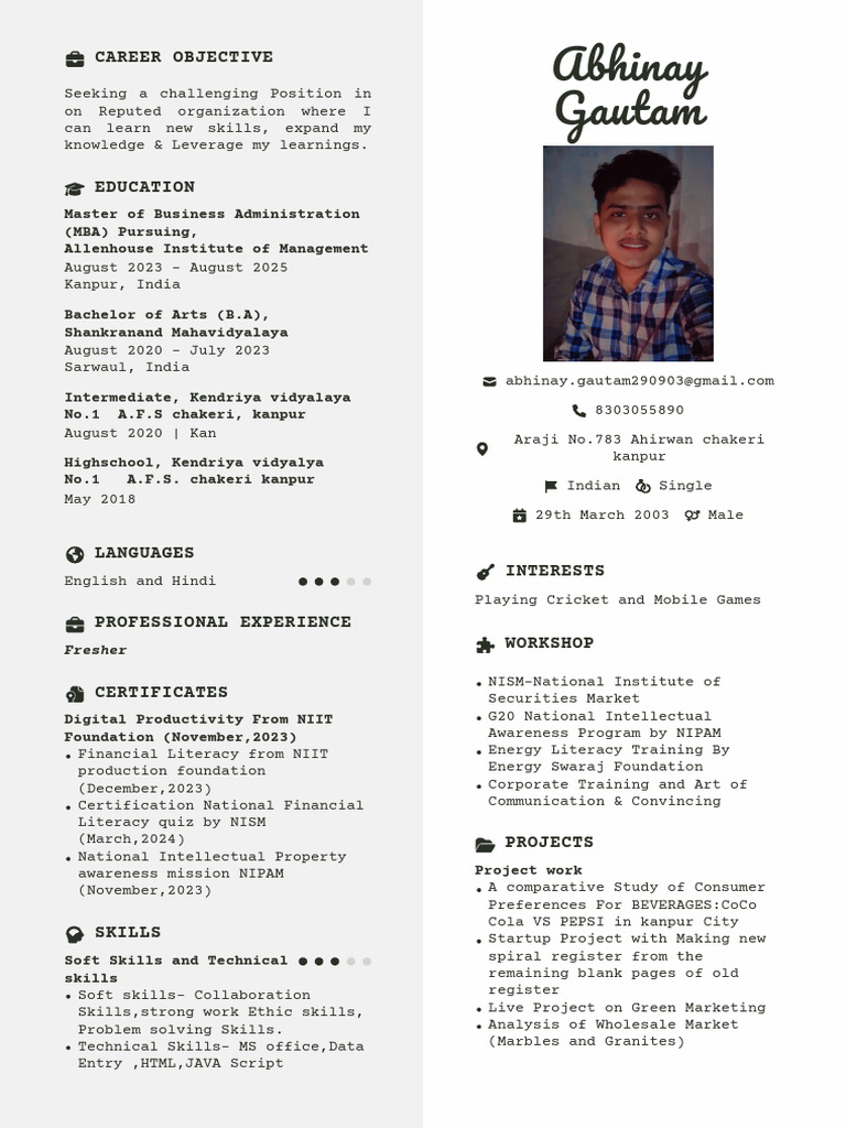 Abhinay Gautam FlowCV Resume 20240622 | PDF | Art