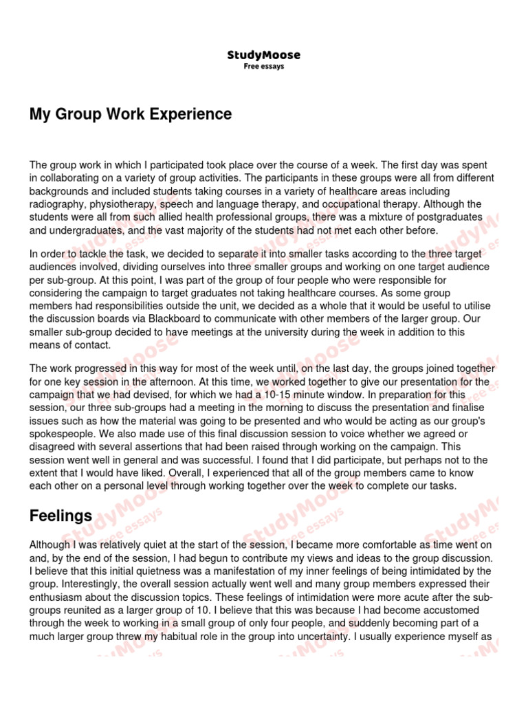 My Group Work Experience | PDF | Social Psychology