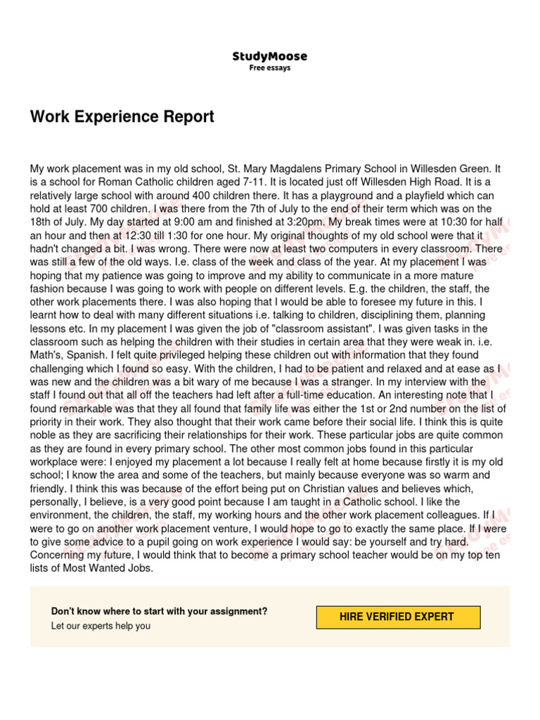 Work_Experience_Report | PDF | Cognition