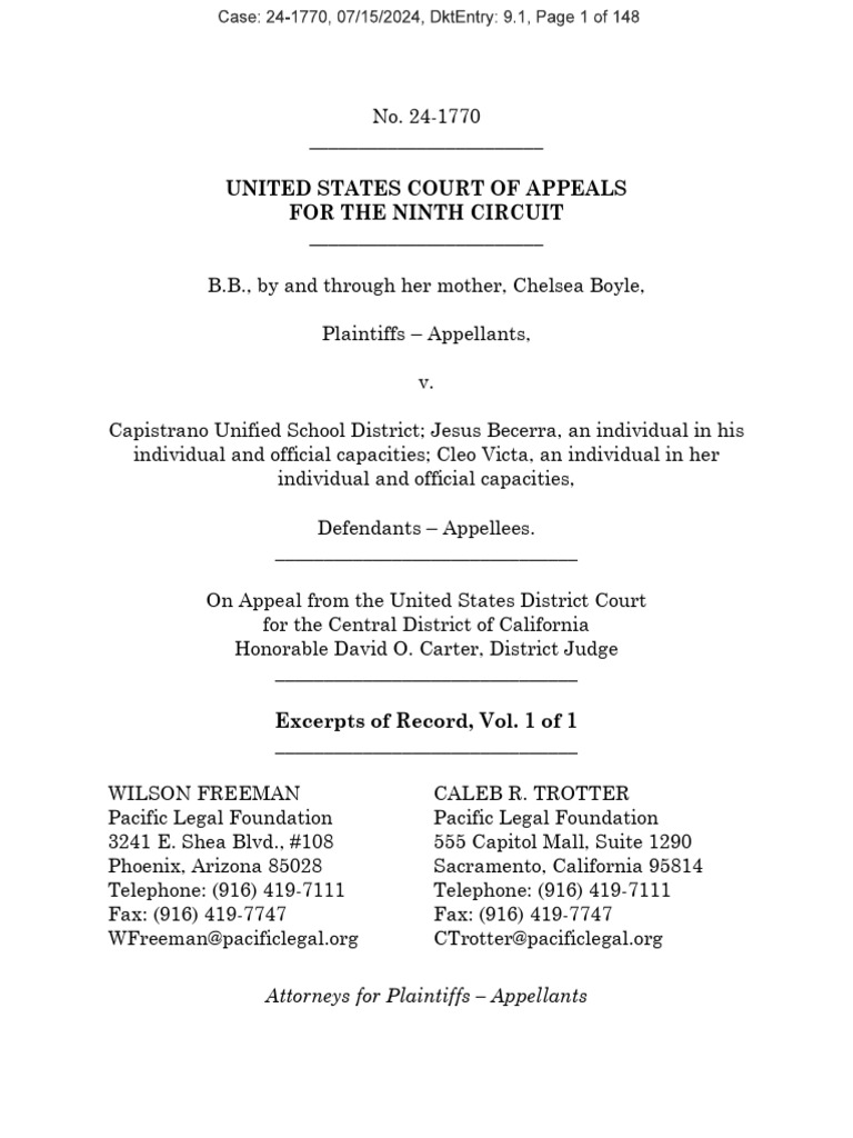 Appeal To Ninth Circuit Filed in Case About Black Lives Matter Drawing ...