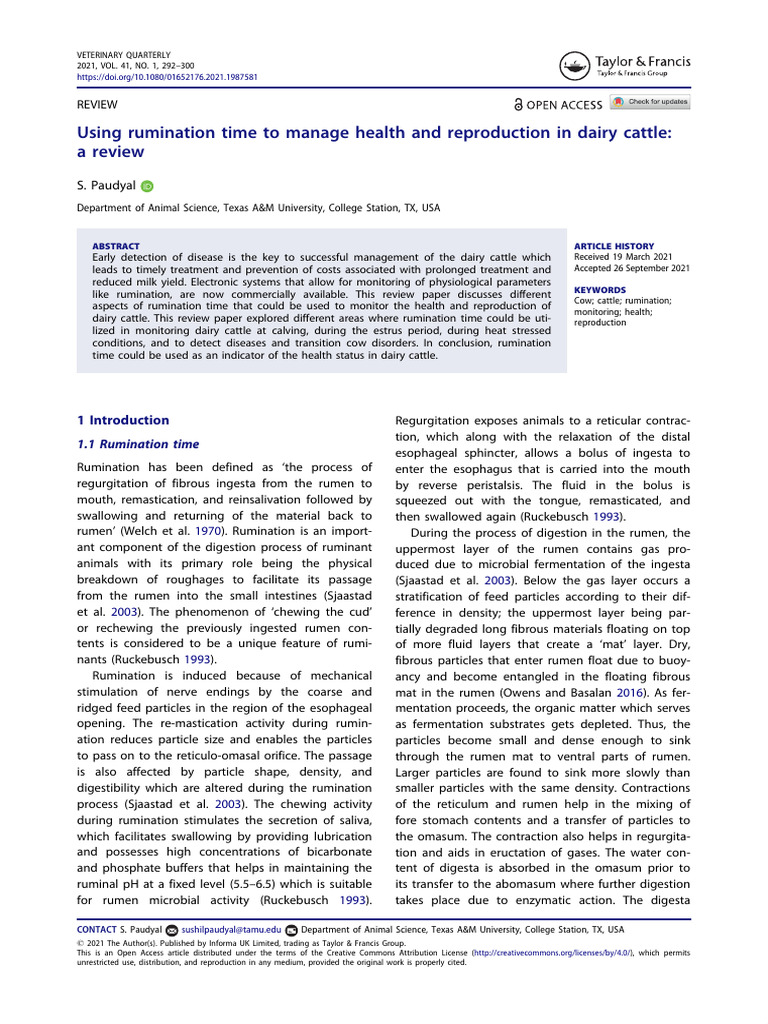 Using Rumination Time To Manage Health and Reproduction in Dairy Cattle: A Review | PDF | Cattle ...