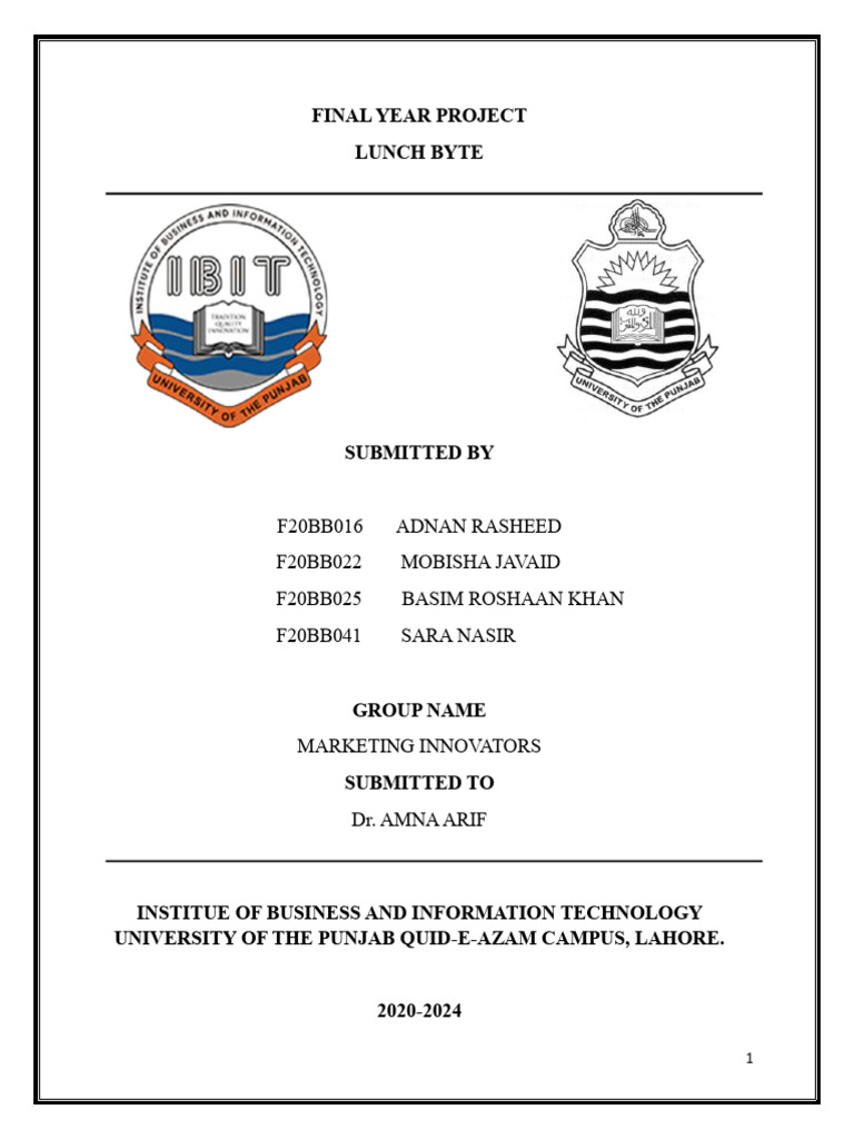 Final Year Project | PDF | Marketing | Market Segmentation