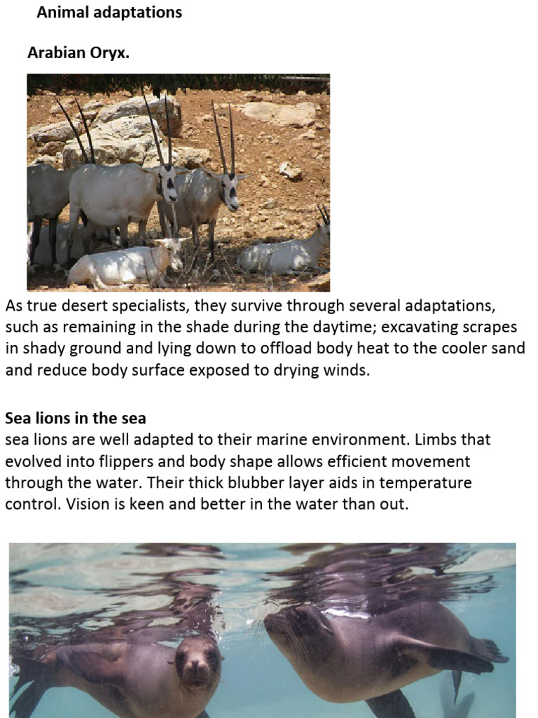 Adaptations Of Animals Pdf
