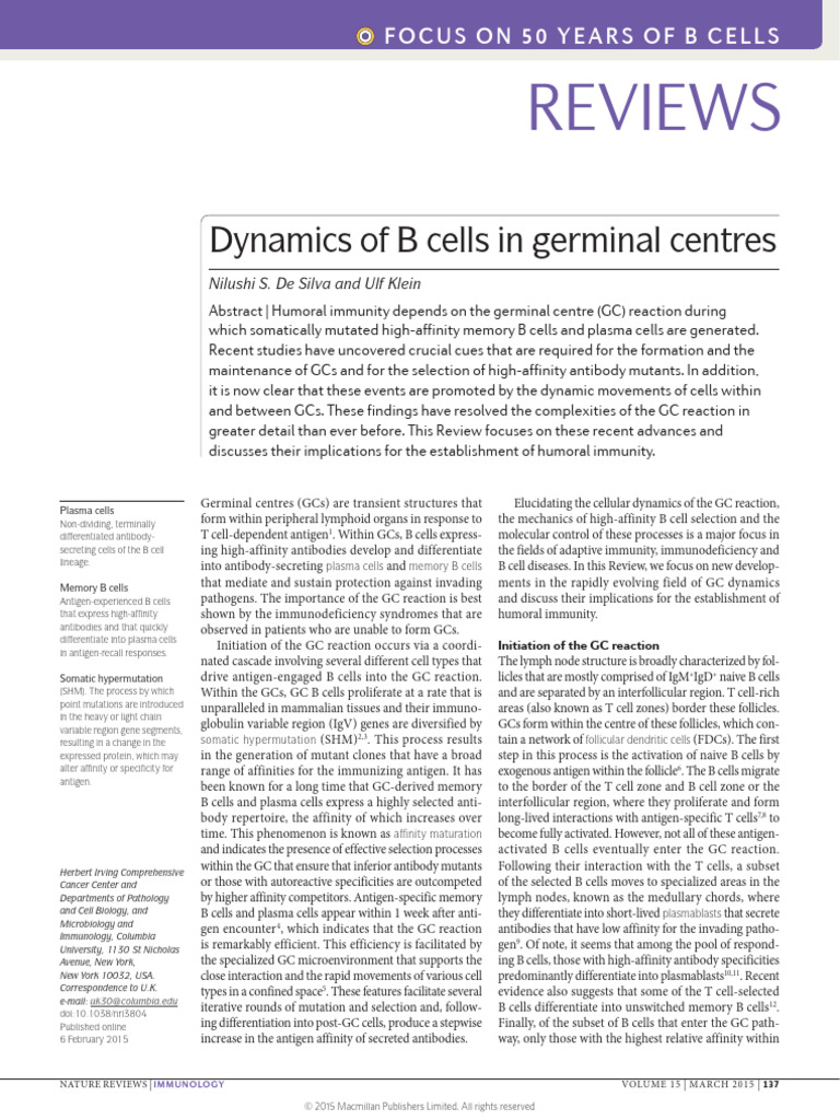 Dynamics of B Cells in Germinal Centres | PDF | B Cell | Lymph Node