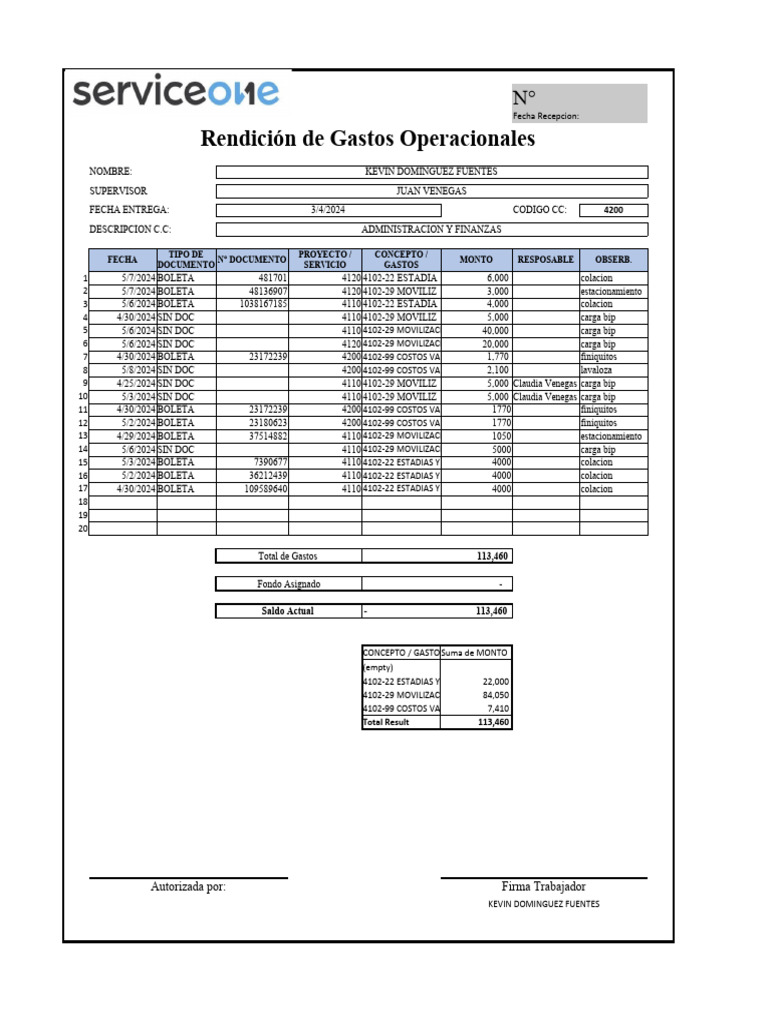 Nuevo Formato Rendicion | PDF
