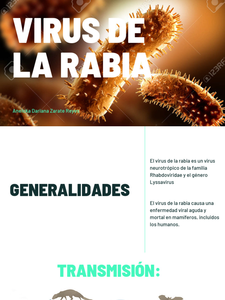 Presentación en Verde y Blanco de Estilo Sencillo Con Texto Grande en Negrilla | PDF | Rabia ...