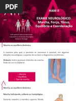 Testes de Coordenação Neurológica | PDF | Cerebelo | Cérebro