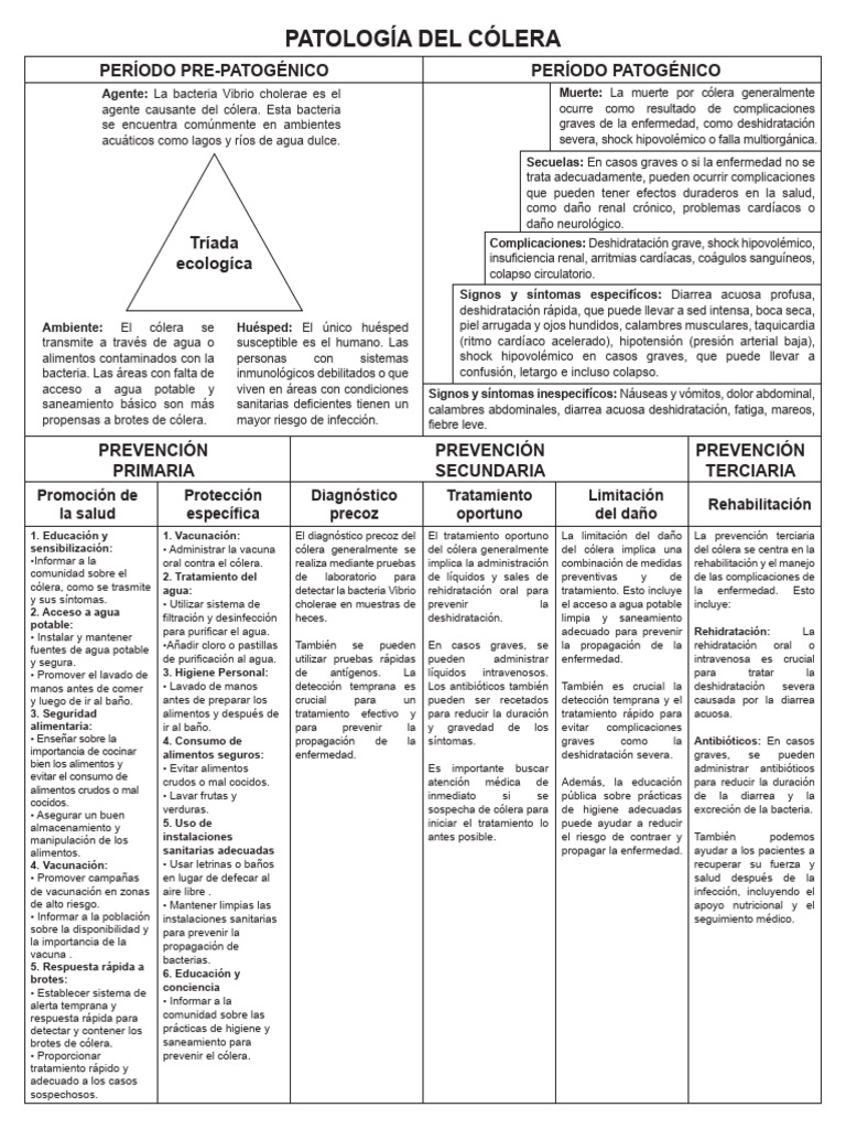 Expo Patologia Colera | PDF | Cólera | Diarrea