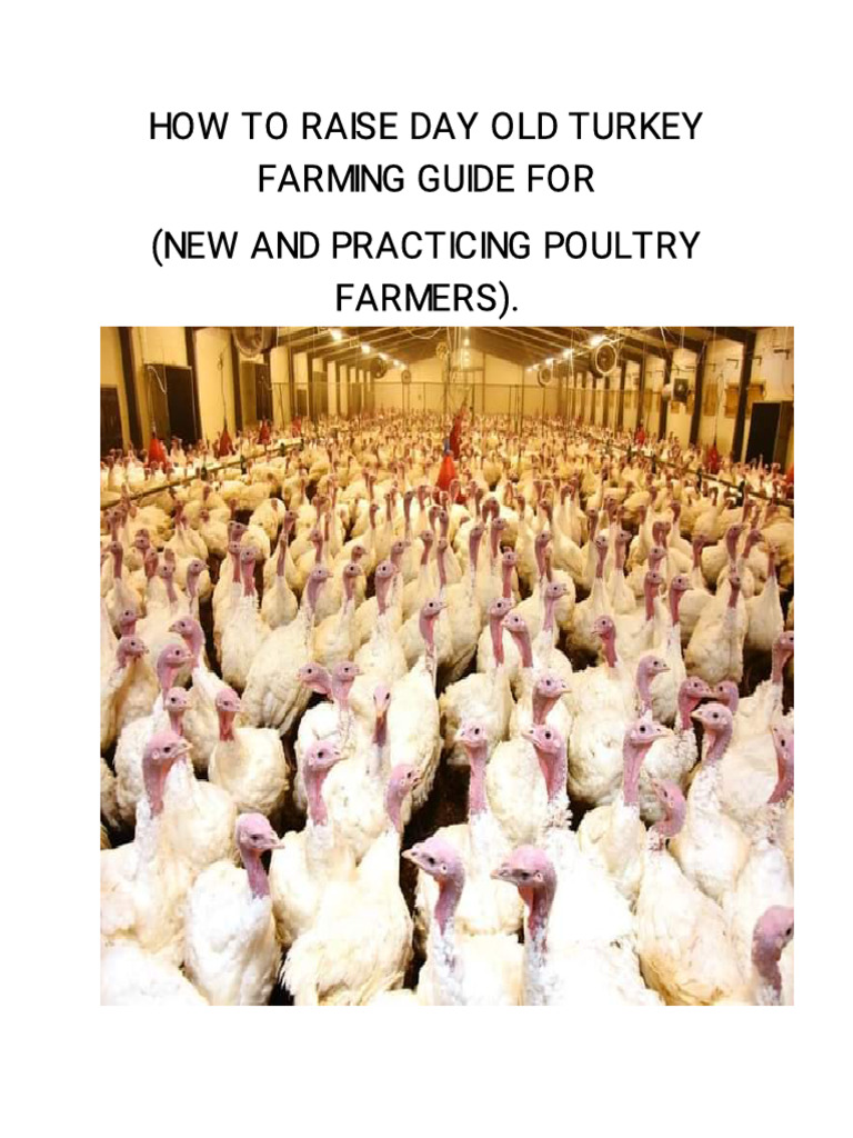 Turkey Farming Guide for Beginners | PDF