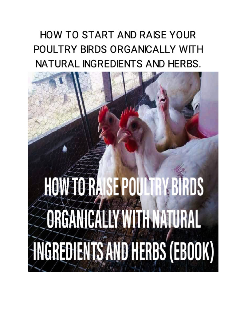 Organic Poultry Farming | PDF