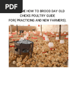Medicine Chart For Chickens PDF | PDF | Medical Diagnosis | Health Sciences
