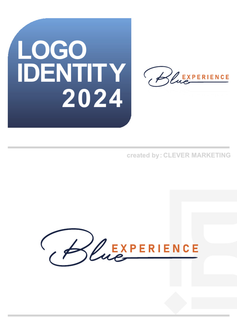 Blue Experience Logo Identity | PDF