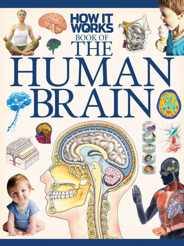 How It Works - Book of The Human Brain | PDF
