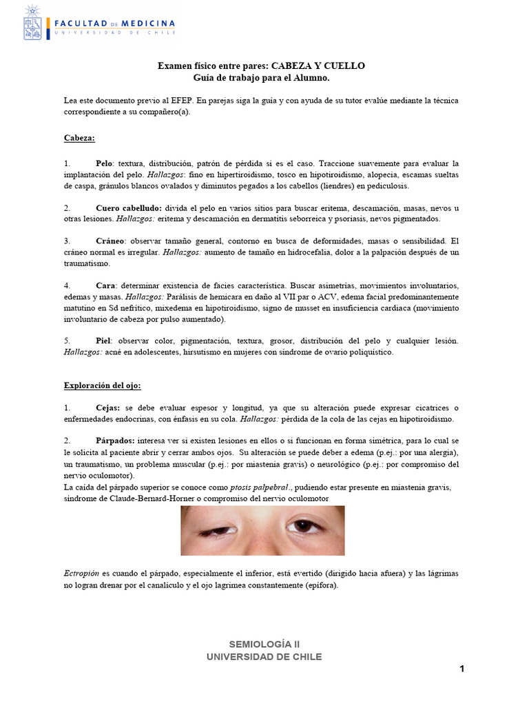 Examen_Fisico_Cabeza_y_Cuello | Descargar gratis PDF | Ojo humano | Cabeza y cuello humanos