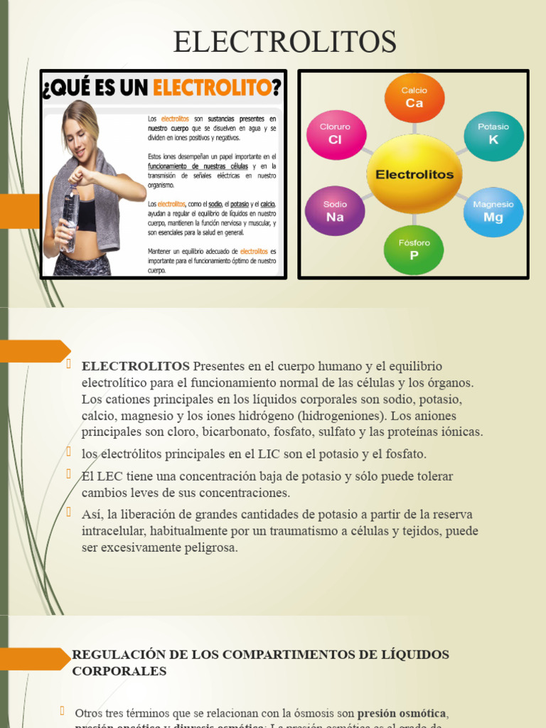 Electrolitos | PDF | Angiotensina | Homeostasis