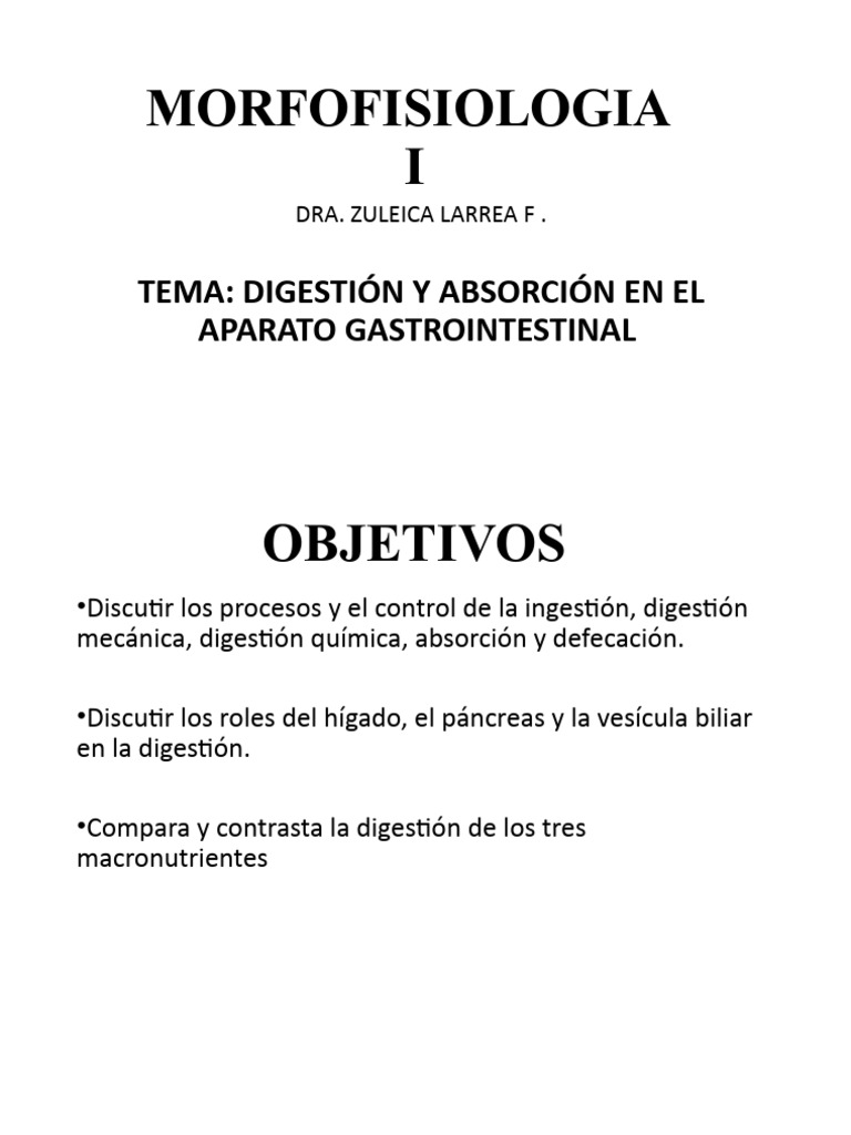 Digestión y Absorción GI | PDF | Digestión | Estómago