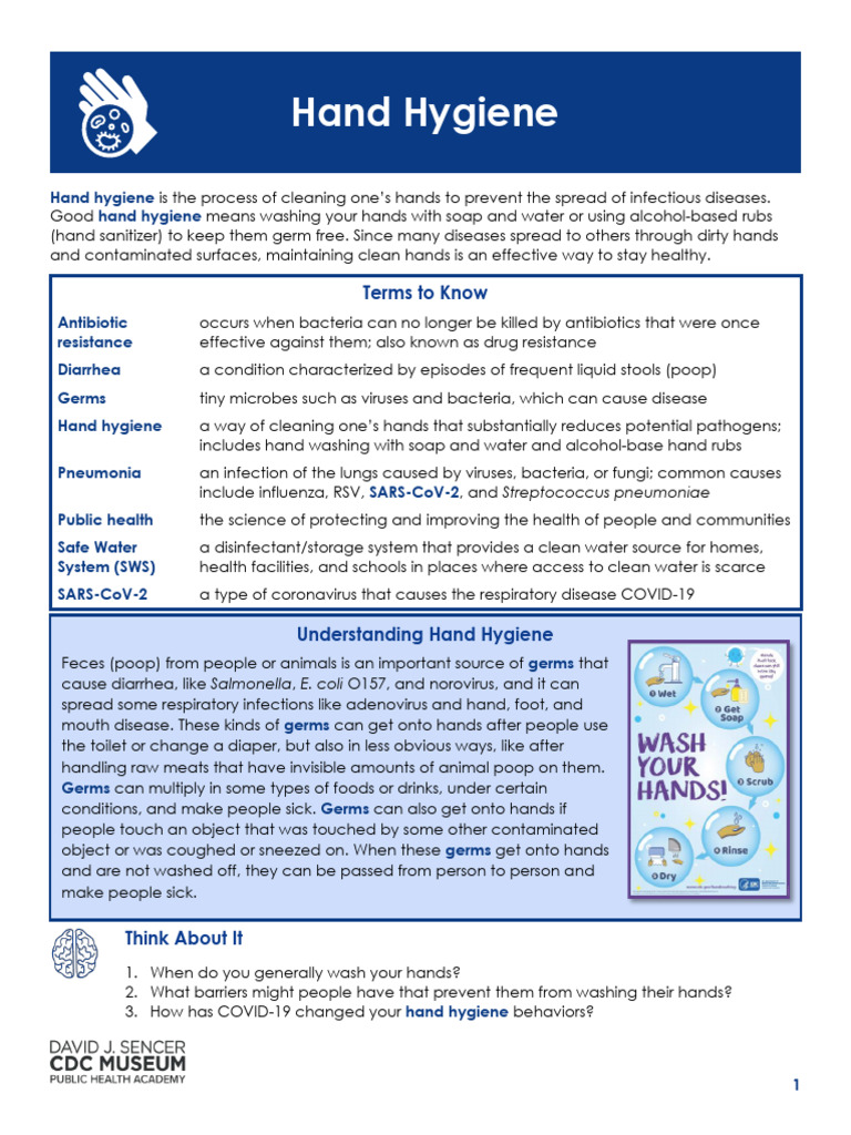 Importance of Hand Hygiene Practices | PDF | Hand Washing | Hygiene