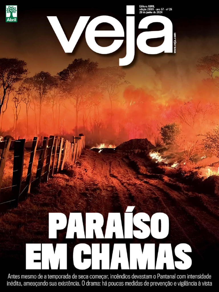 Revista Veja - Ed 2899 - 030724 | PDF | Julian Assange | Escolas