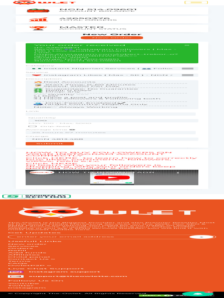 New Order | PDF | Social Information Processing | Cyberspace