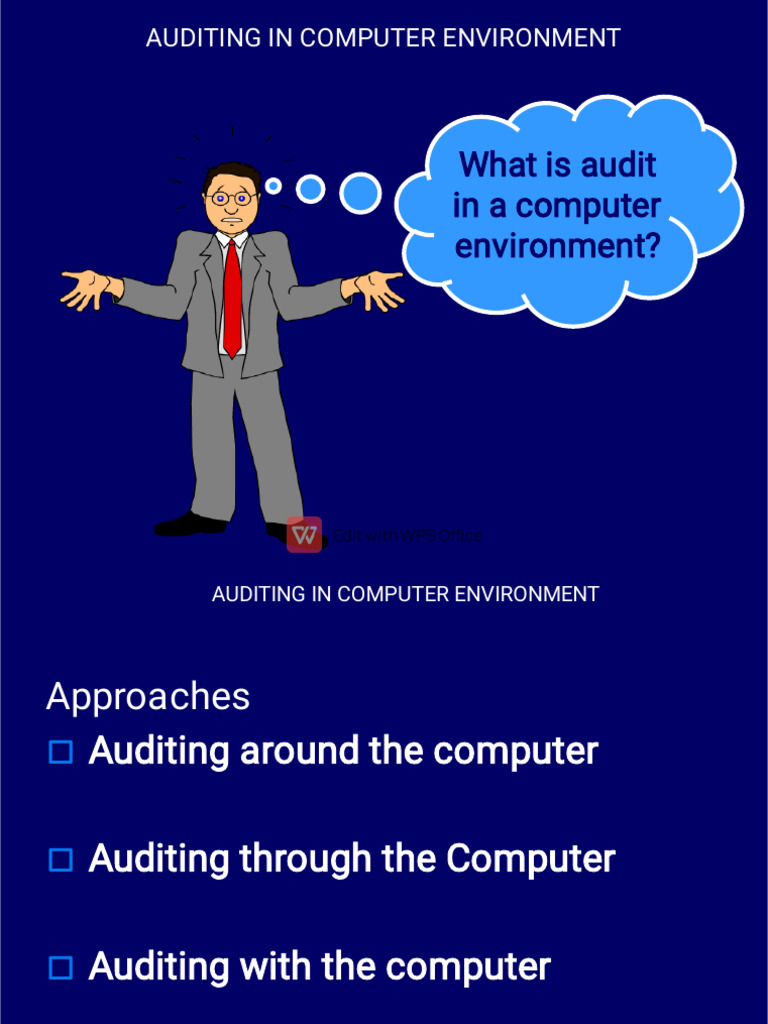 Computer Auditing Techniques Explained | PDF | Internal Control | Audit