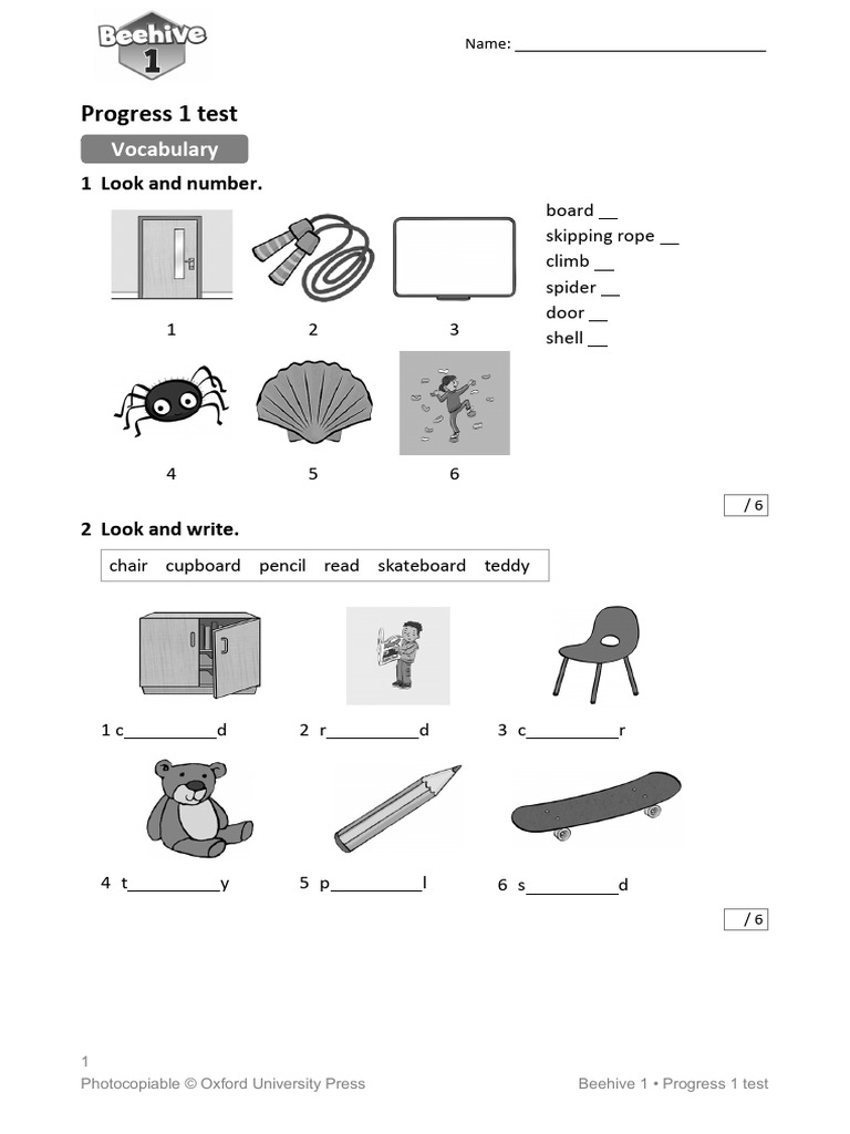 Beehive_Tests_Level 1_Progress 1 test | PDF