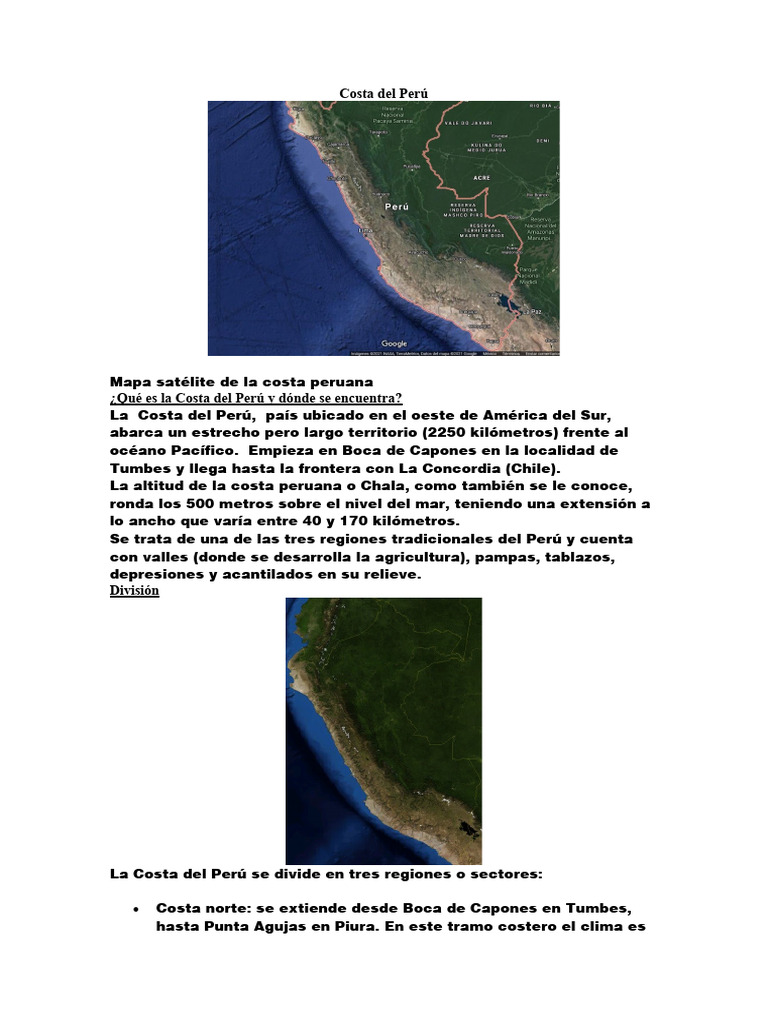 Costa Del Perú | PDF | Cilantro | Mariscos