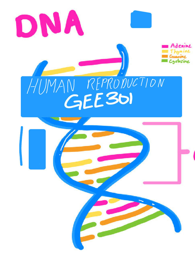 Human Reproduction Pdf Testicle Birth Control