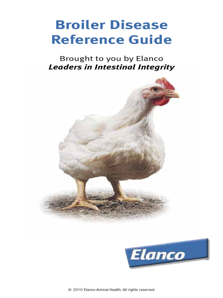Broiler Disease Reference Guide | PDF | Medical Specialties | Biology