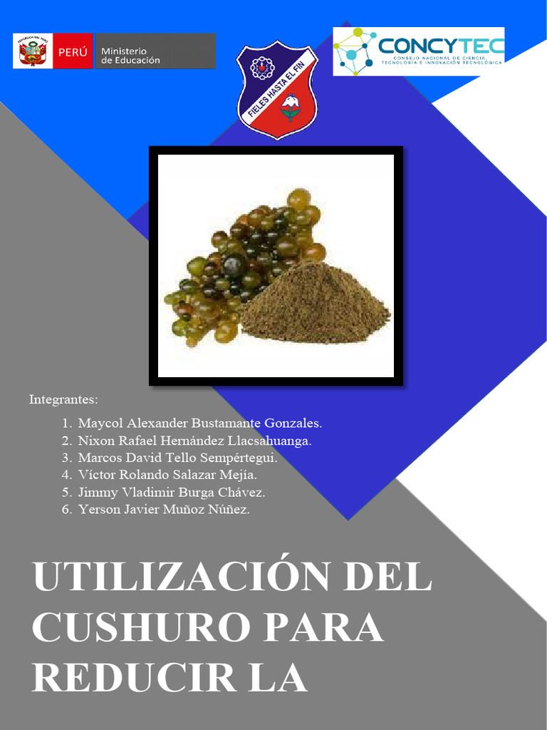 Utilización Del Cushuro para Reducir La Anemia | PDF | Anemia | Dieta