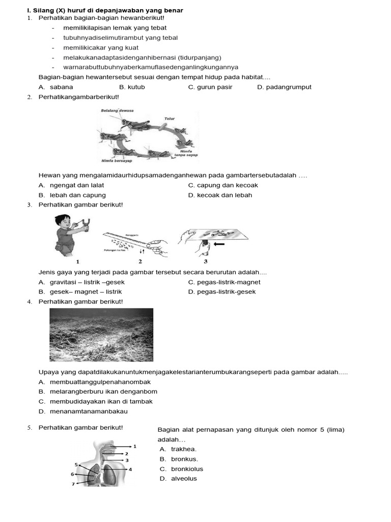 Soal Us Ipa Paket C 2022-2023 Edit | PDF