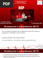 Algoritmo PCR Adulto 2020 Aha | PDF