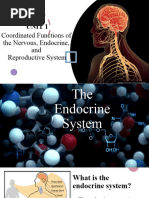 GR 12 LS Topic 7 - Human Endocrine System and Homeostasis | PDF ...
