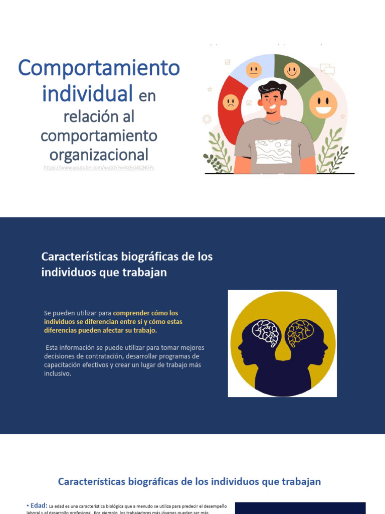 Cap 2. Comportamiento Individual | PDF | Comportamiento | Comportamiento organizacional