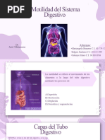 Reflejos Digestivos: Gastroileal e Ileocólico | PDF