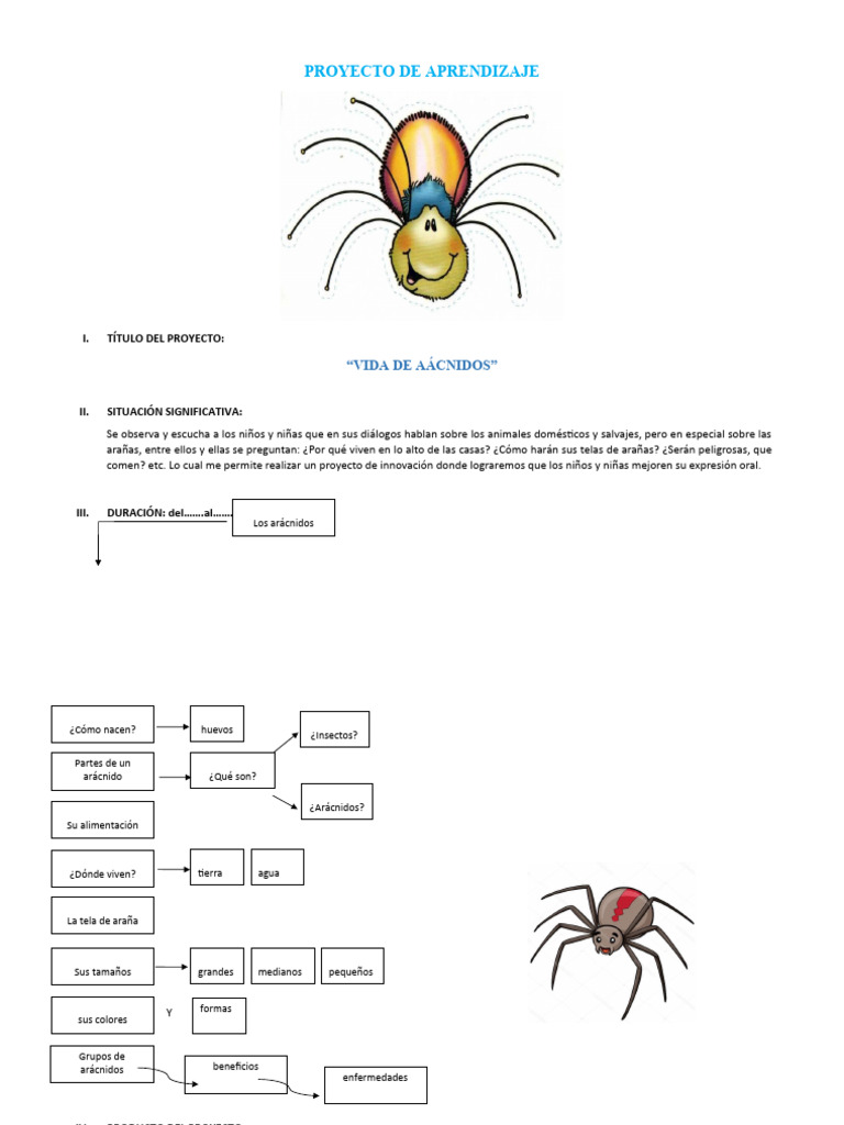 las ARAÑAS | PDF | Evaluación | Aprendizaje