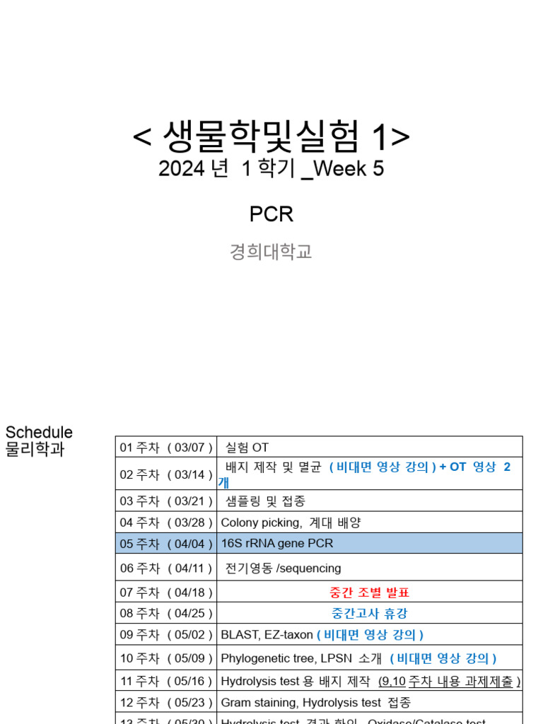 Week5 PCR 물리학과 구범진 | PDF