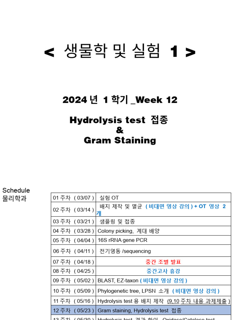 Week12 - Gram Staining 구범진 물리 | PDF