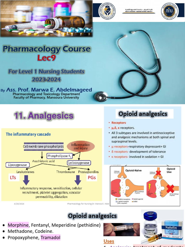 Pharmacology Lec9 Dr. Marwa Abdelmageed | PDF | Analgesic | Opioid
