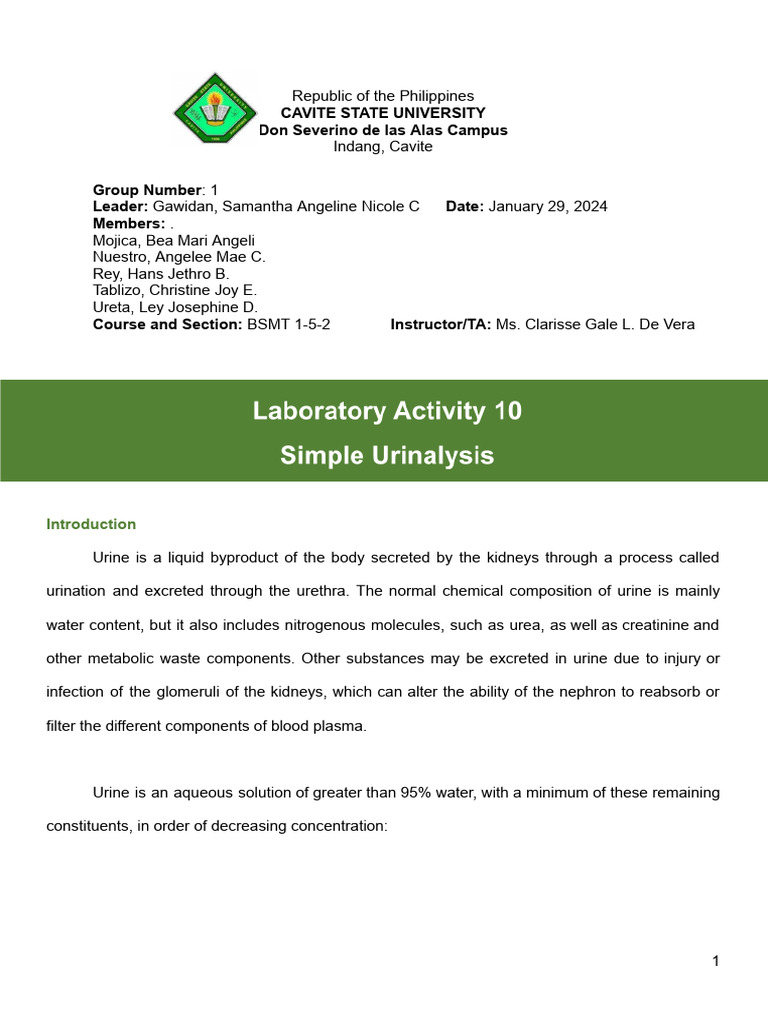 Urinalysis: Assessing Urine Health | PDF | Urine | Kidney