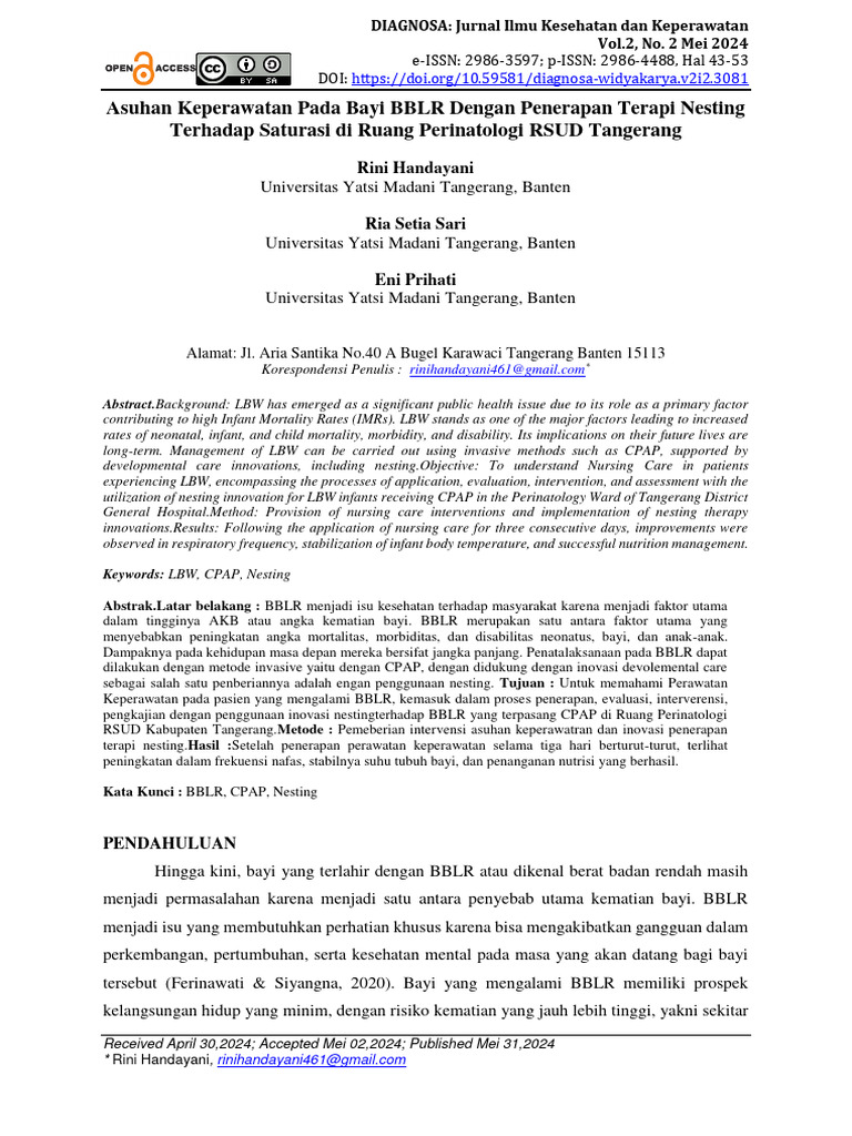 Asuhan Keperawatan Pada Bayi BBLR Dengan Penerapan Terapi Nesting ...