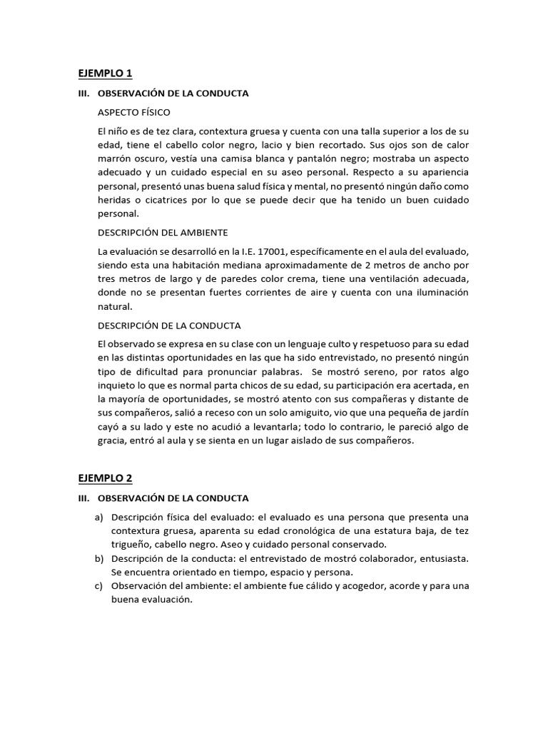 Modelo de Observación de La Conducta en Un Informe Psicológico | PDF