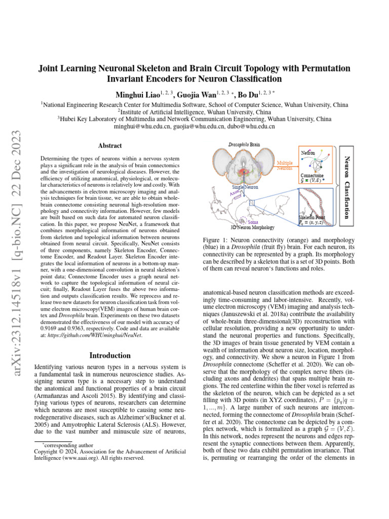 Joint Learning Neuronal Skeleton And Brain Circuit Topology With Permutation Invariant Encoders 9191