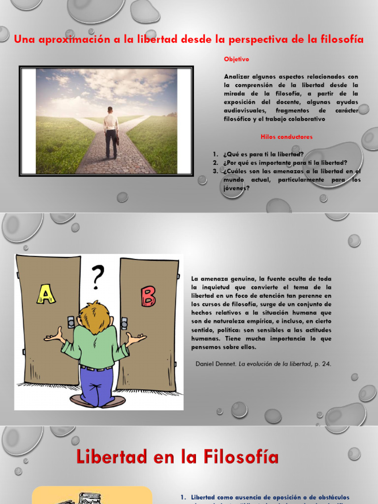 DJDJDJD | PDF | Libertad | Razón