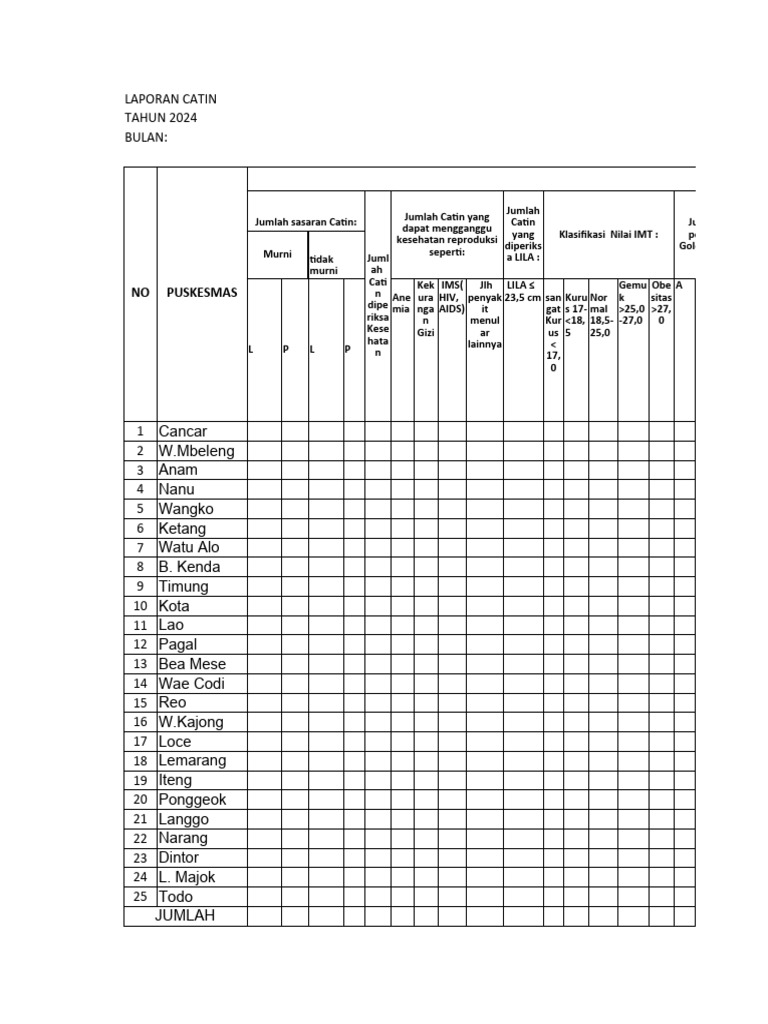 Format Laporan Catin 2024 | PDF
