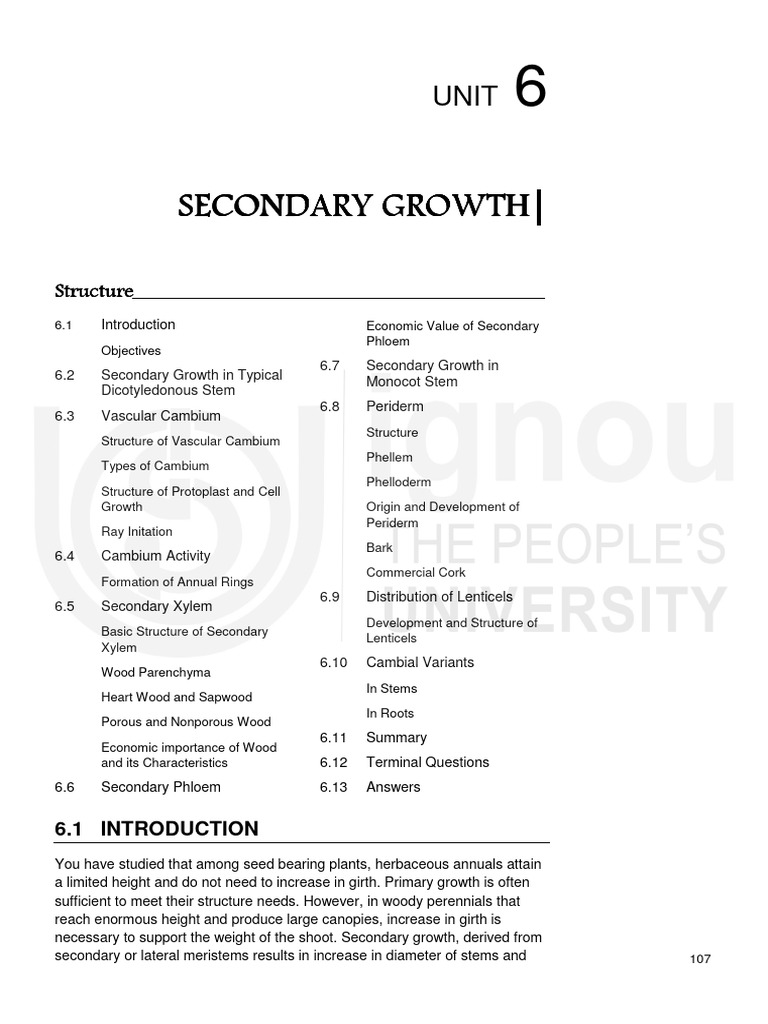 Unit 6 | PDF | Plant Stem | Tissue (Biology)
