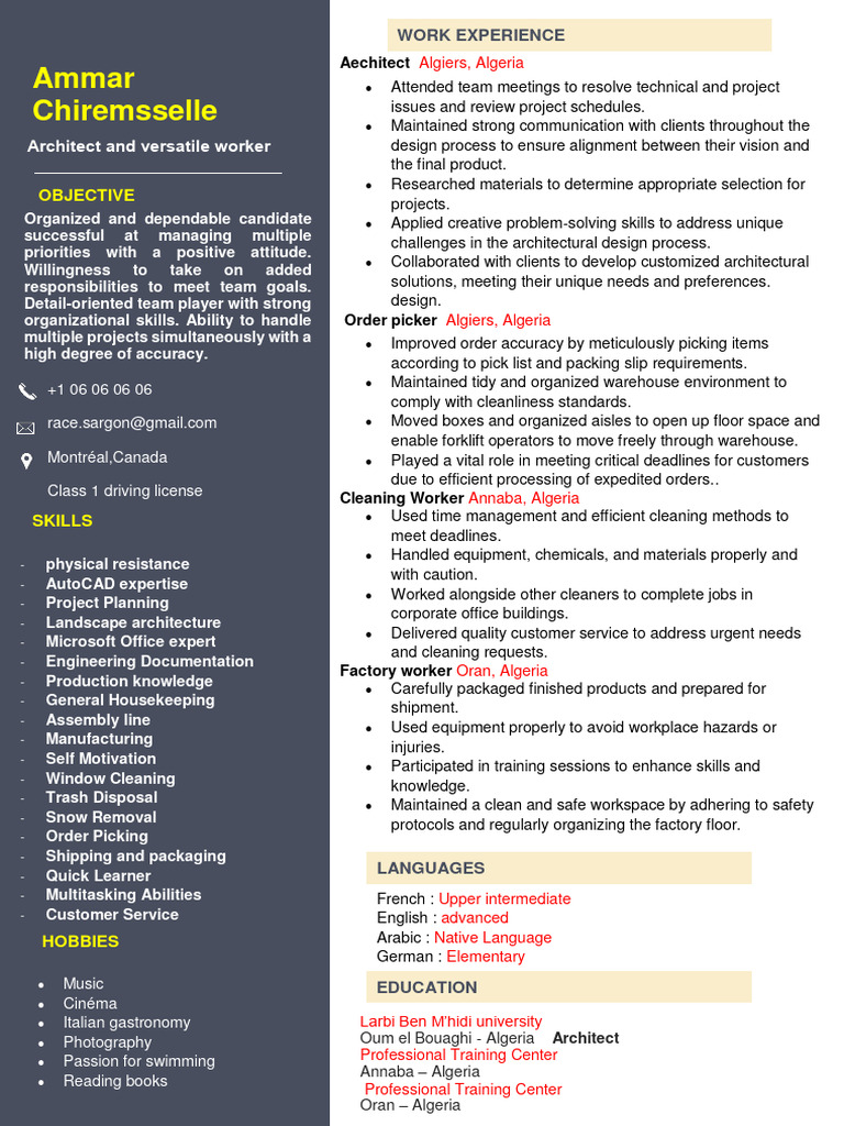 CV - Amar Chiremsselle Anglais | PDF | Technology & Engineering